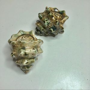 Kitchen | Vintage Salt Pepper Shakers Shell Florida | Poshmark